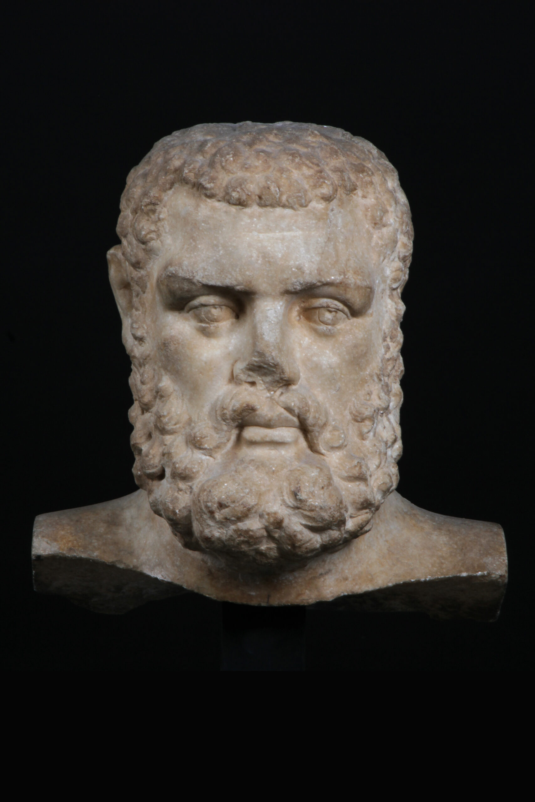 Roman 2nd Century AD-Head of Hercules- Trinity Fine Art