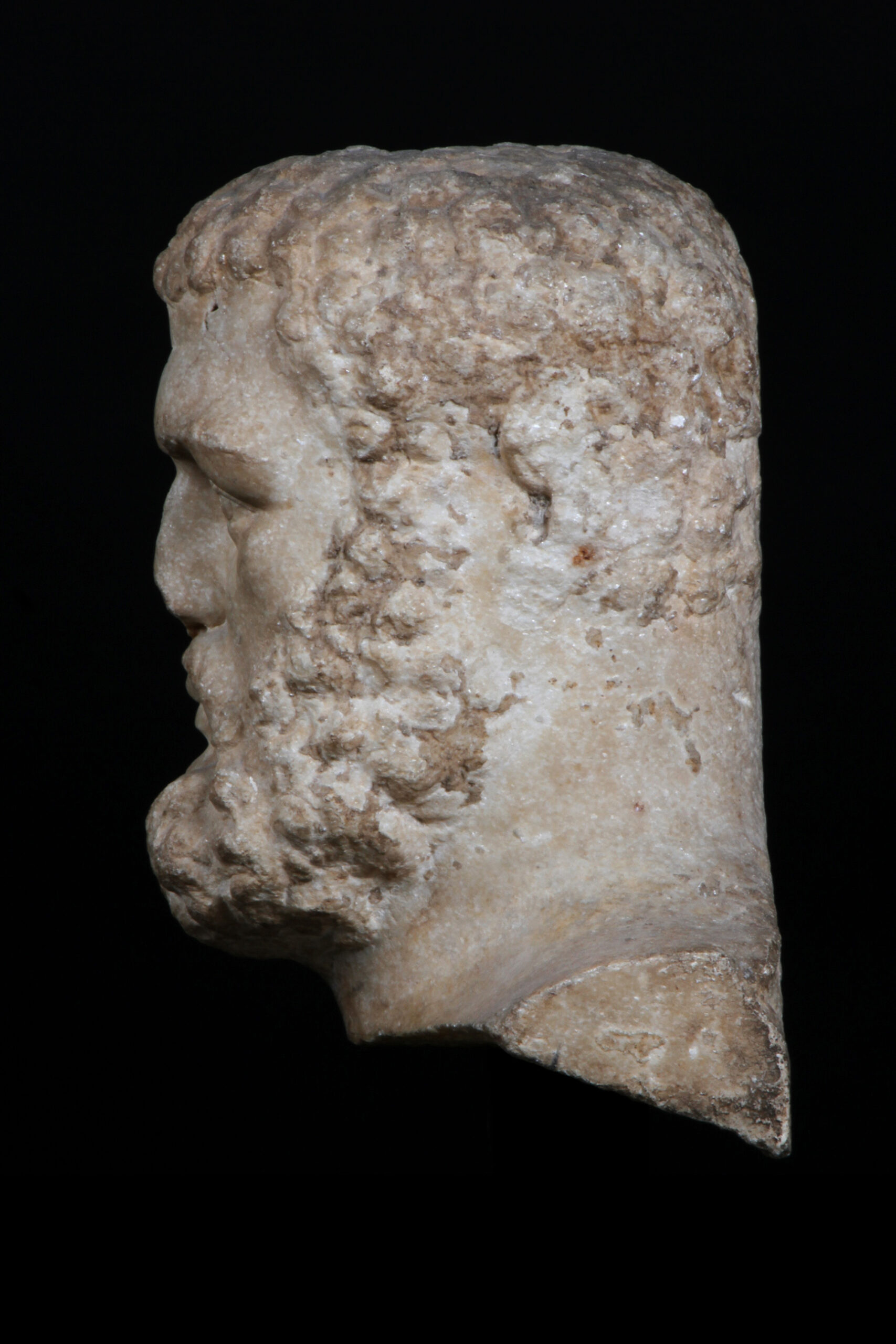 Roman 2nd Century AD-Head of Hercules- Trinity Fine Art