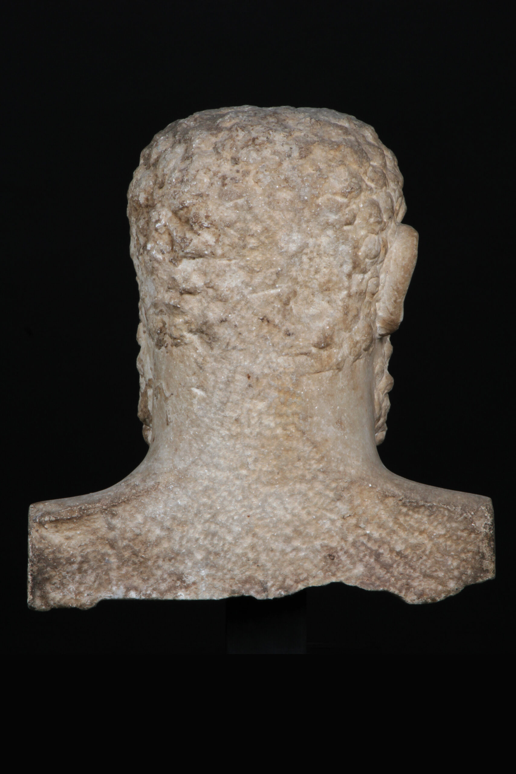Roman 2nd Century AD-Head of Hercules- Trinity Fine Art