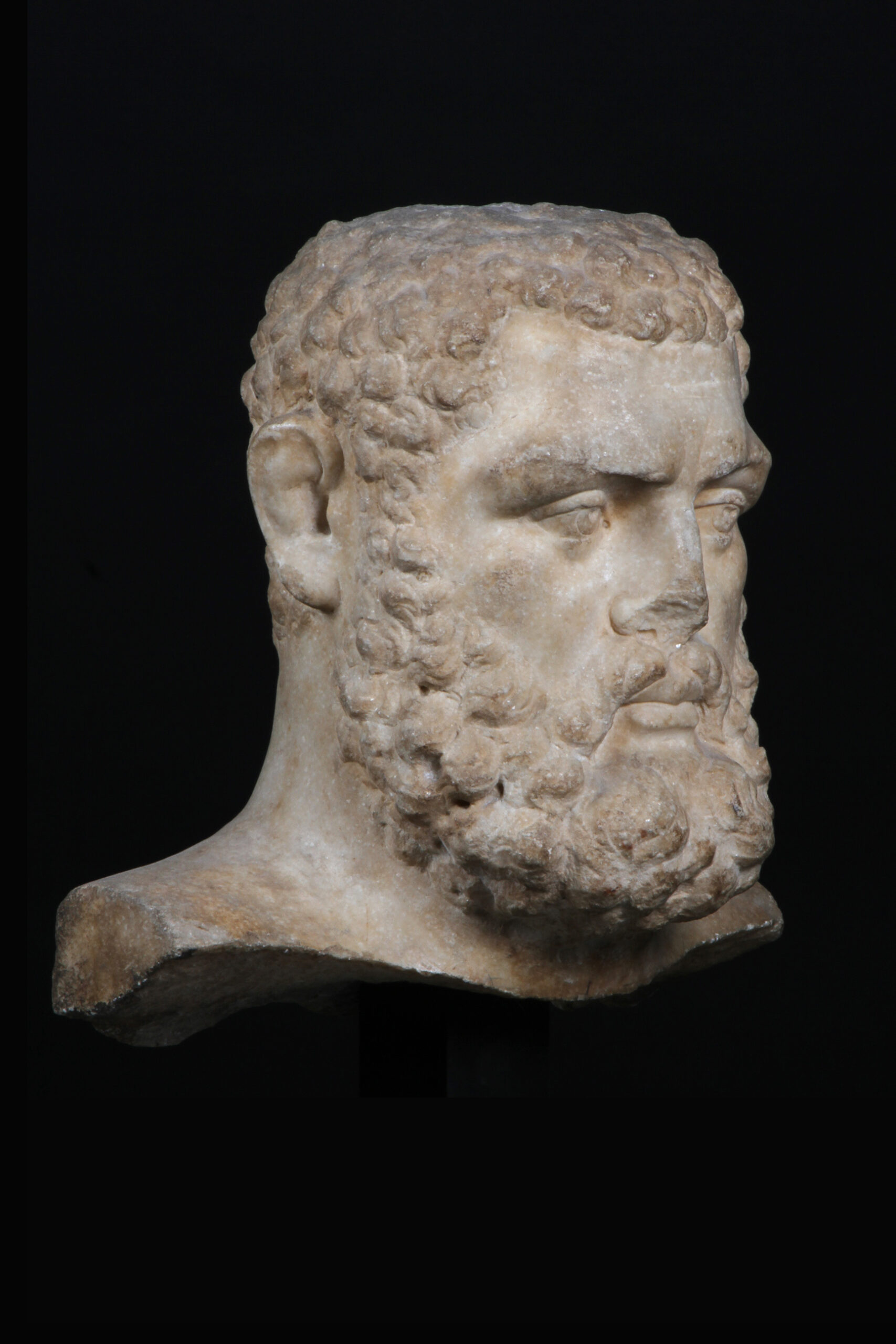 Roman 2nd Century AD-Head of Hercules- Trinity Fine Art